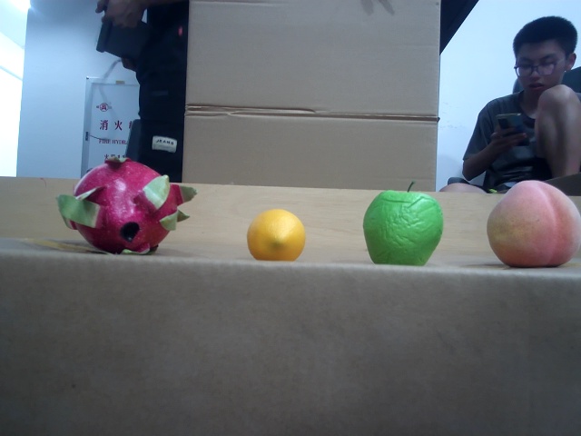 all-fall Object Detection Dataset and Pre-Trained Model by elysian