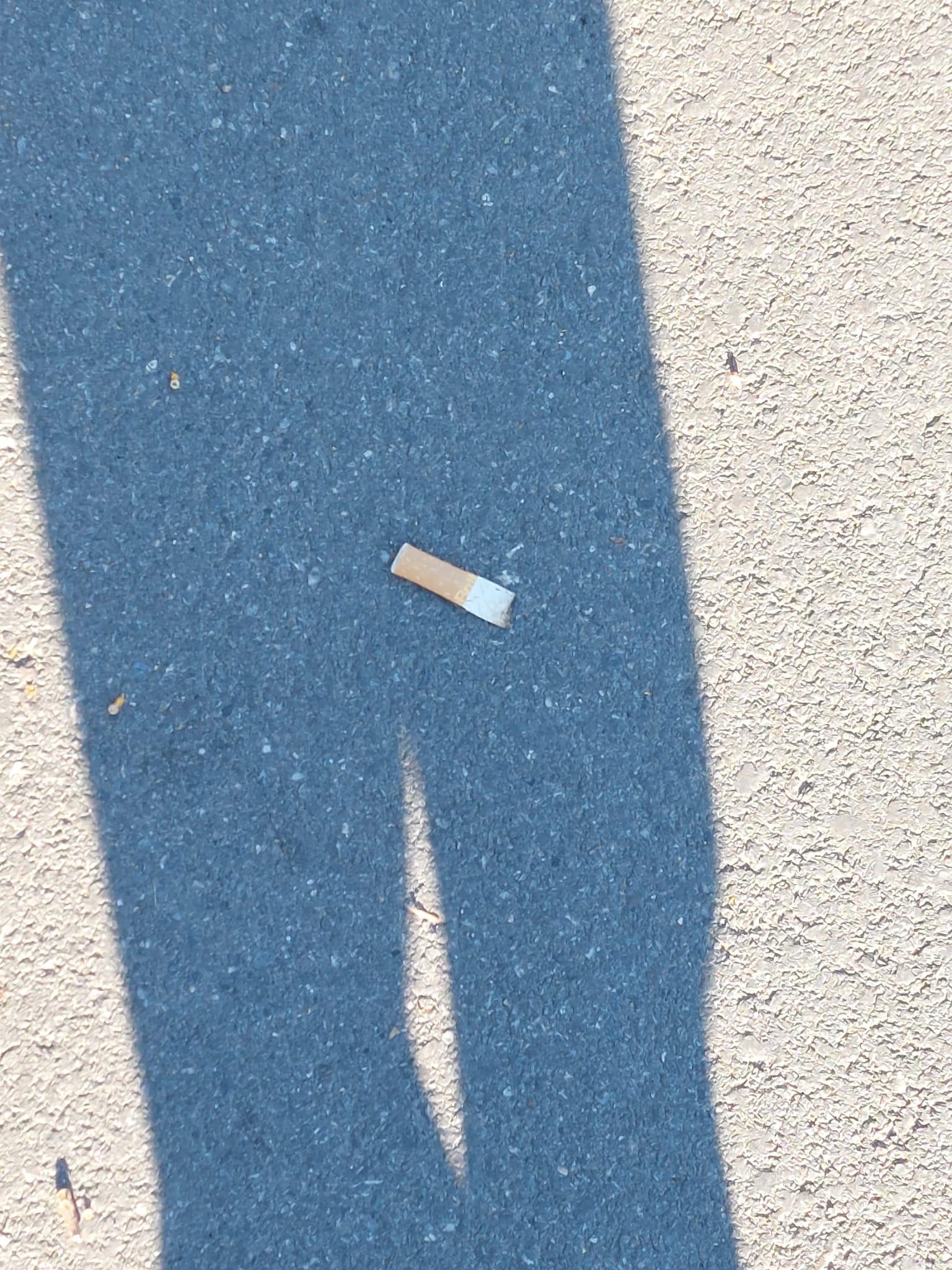 Driver fatigue and behavior detection Object Detection Dataset by project-pkq8y