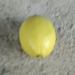 Lemon Quality Analysis Object Detection Dataset by project-1utmy