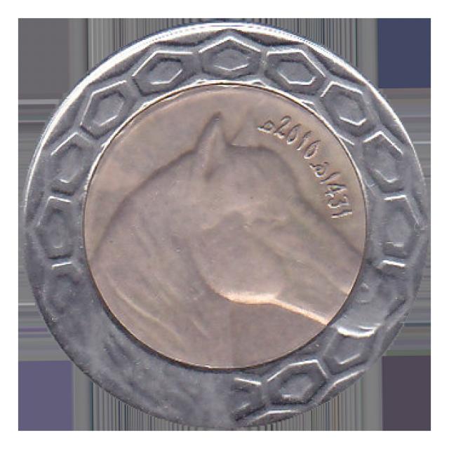 COINS DZ 2 Instance Segmentation Dataset by fayez