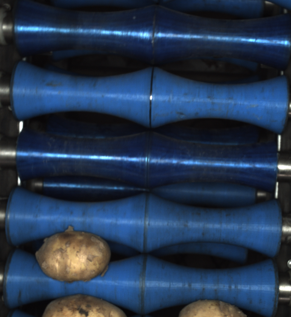 How to Use the potato_defect_detection Object Detection API