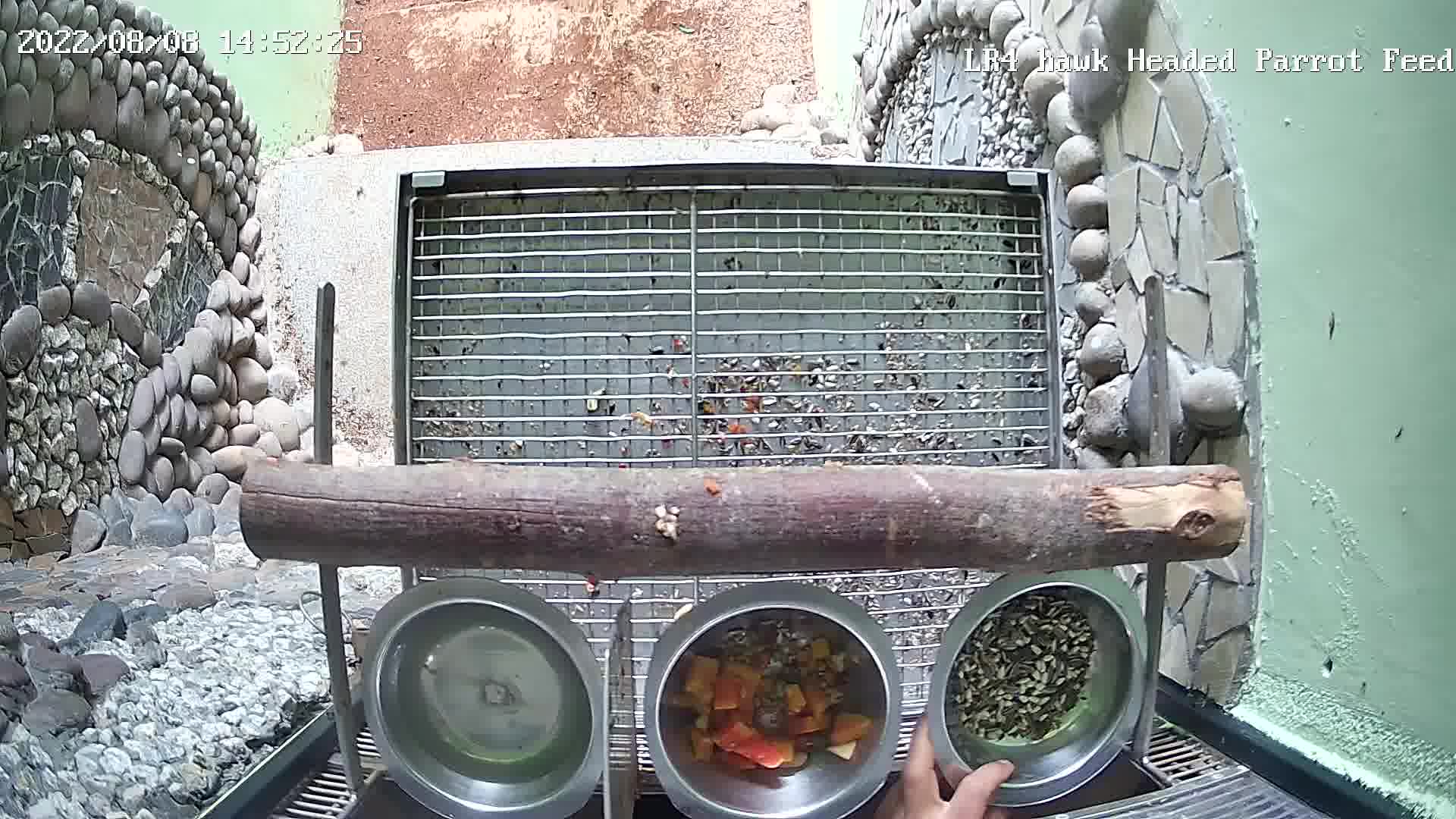 yolov5-zoo Object Detection Dataset and Pre-Trained Model by IIT BHU