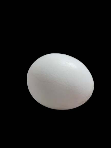 Egg Crack Detection Object Detection Dataset By 360 Digitmg