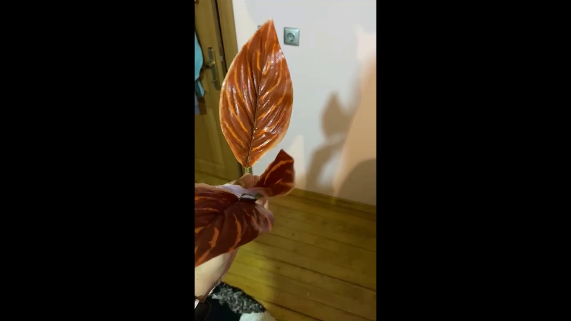 Bitki Object Detection Dataset And Pre Trained Model By Jimmy