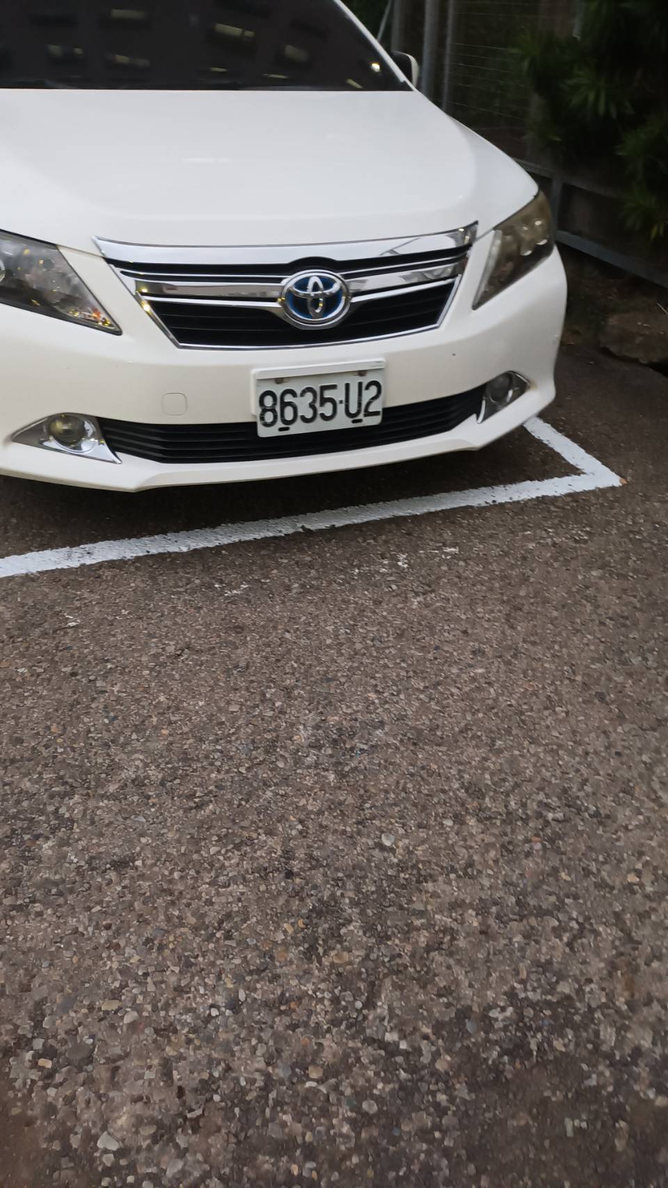 Plate Detection Object Detection Dataset And Pre Trained Model By Tom