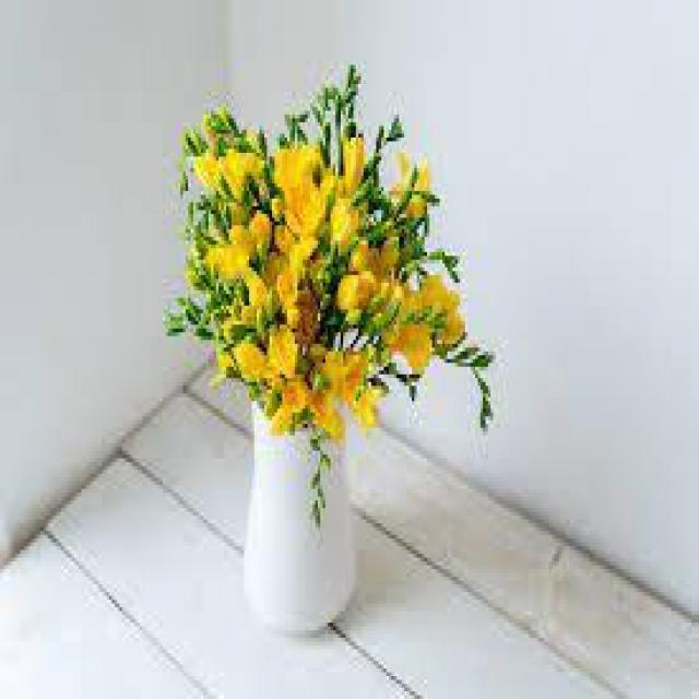 Flower Detection Object Detection Dataset By Prem Anvesh