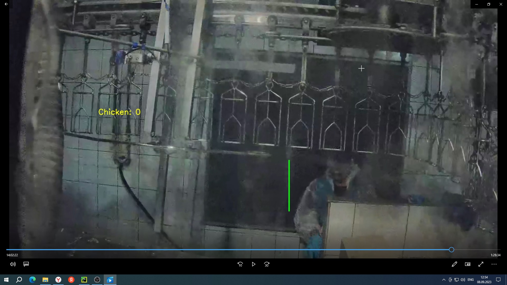 How to Use the Chicken models Object Detection API