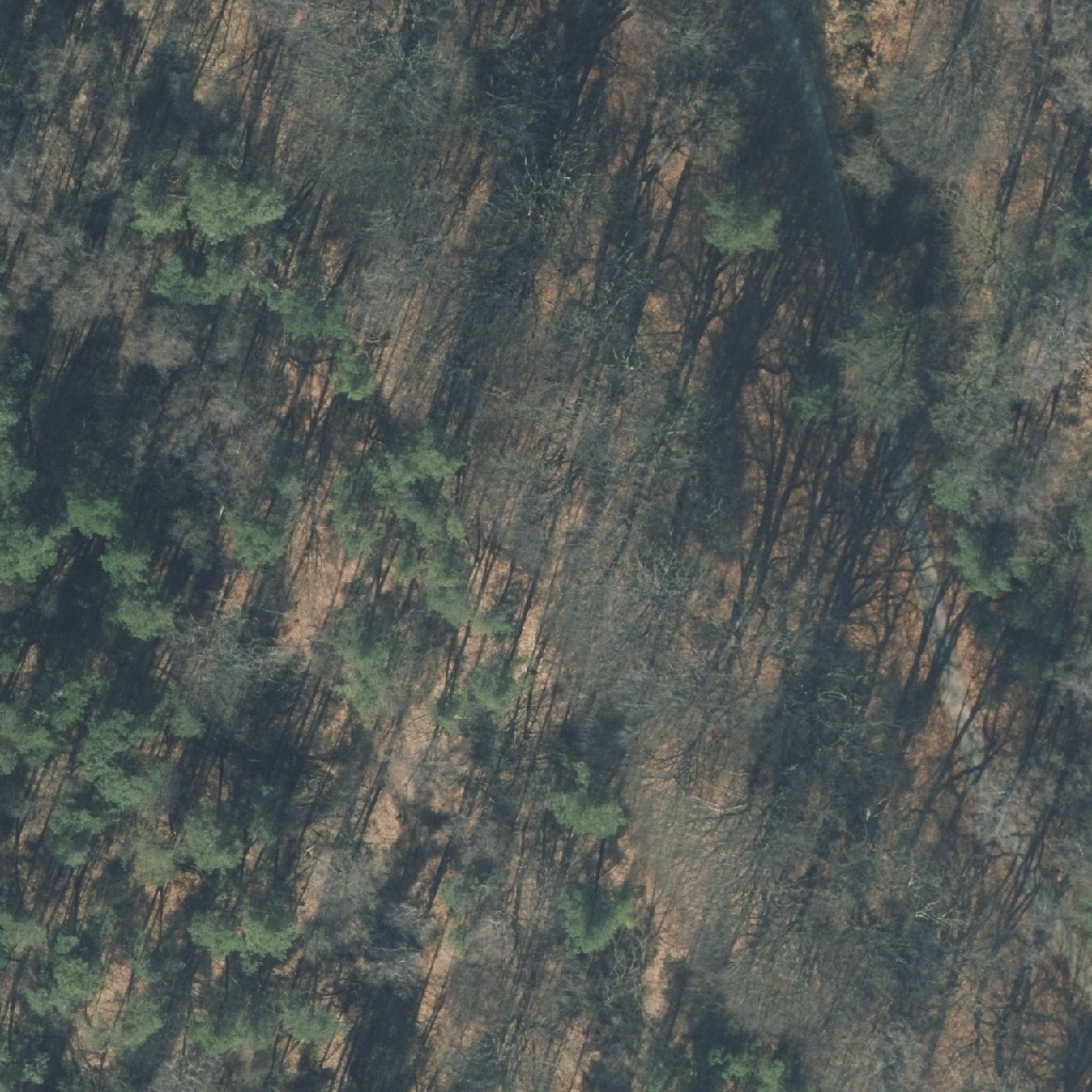 Forest trails 2 Instance Segmentation Dataset by Forest trails