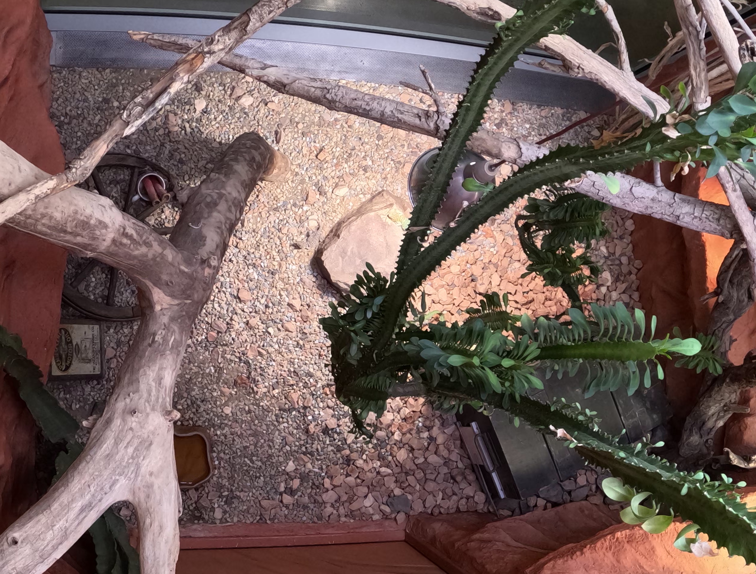 Moving-Lizards Object Detection Dataset by University Koblenz