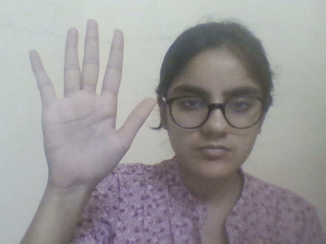 Realtimeobjectdetection Object Detection Dataset By Workspace