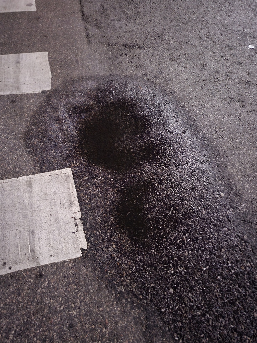 puddle Object Detection Dataset and Pre-Trained Model by HanYang University