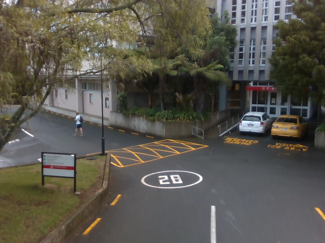 Tree Dataset 2023 Object Detection Dataset And Pre Trained Model By 8096