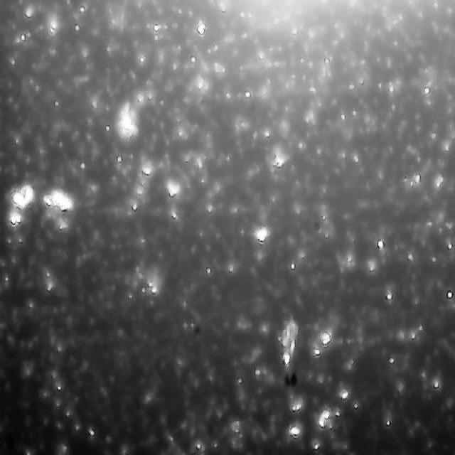 Bacteria Object Detection Dataset by Mostar