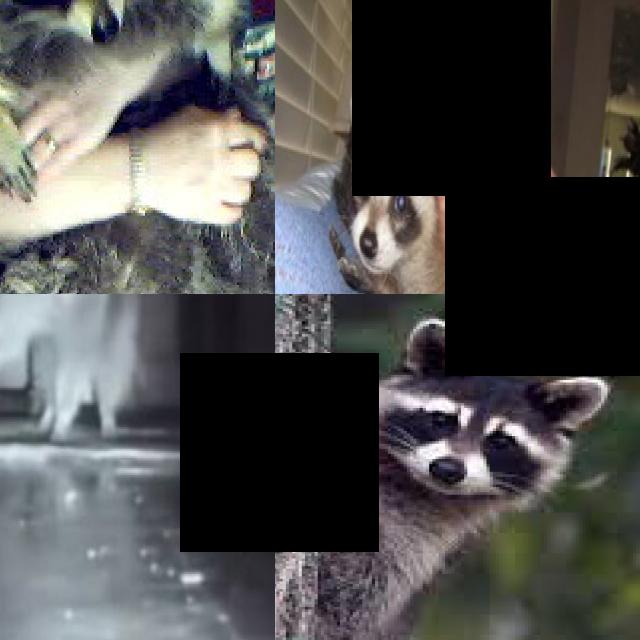 Raccoons Object Detection Dataset And Pre Trained Model By Fau Smart