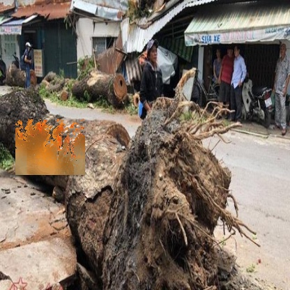 yolo_v4_tiny_custom_train_fire Object Detection Dataset by ESL