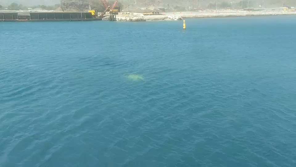 Drone Water Object Detection Dataset By Alfabeta Solusi Nusantara