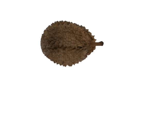 Durian Classifier-ARANCILLO Classification Dataset and Pre-Trained Model by Japheth Louie M Gofredo