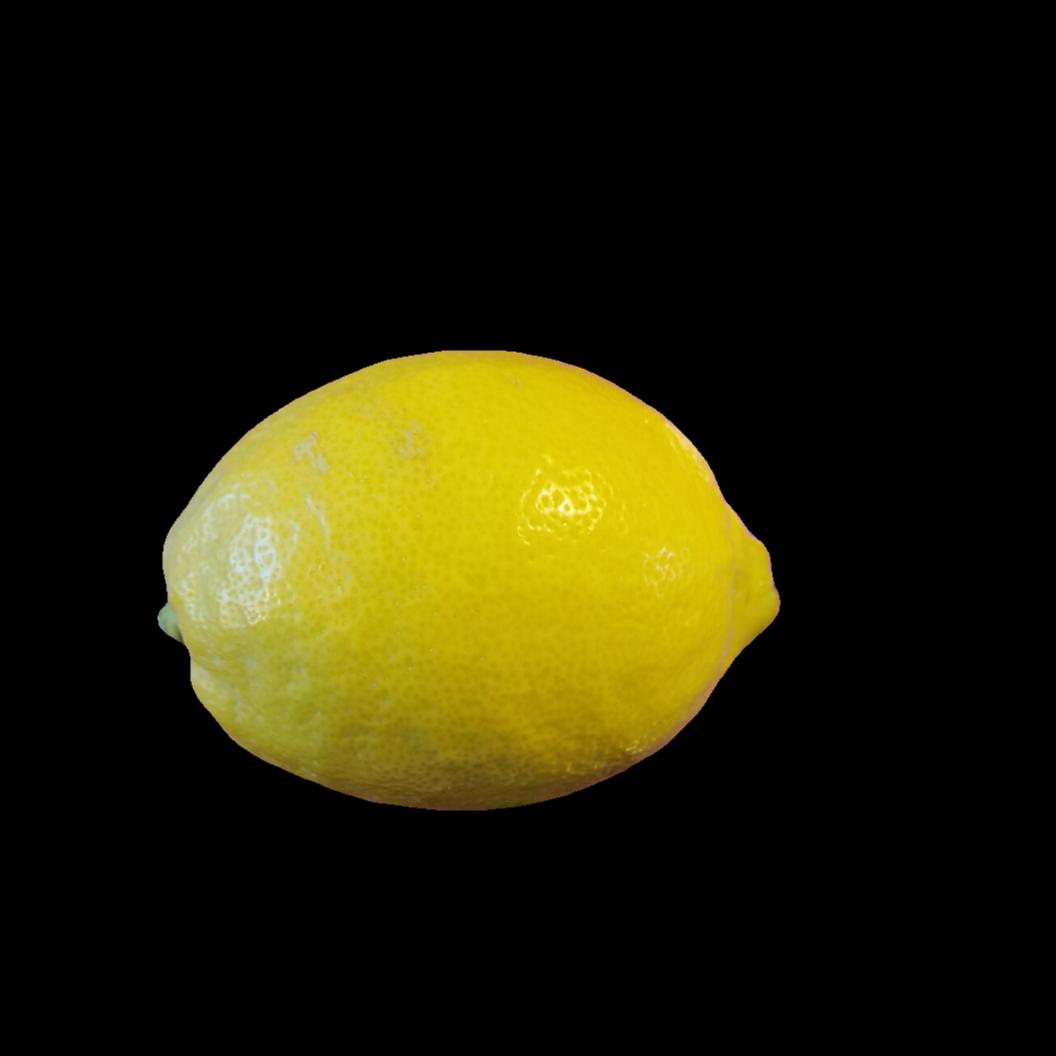 lemon-quality-shape Instance Segmentation Dataset by 1obs