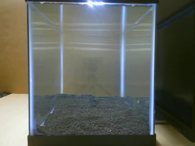 fish pt2 - Roboflow Universe