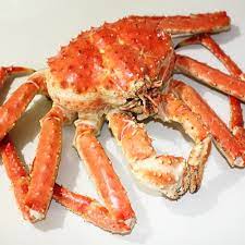 cat or crap detection Object Detection Dataset by project-q5hlt