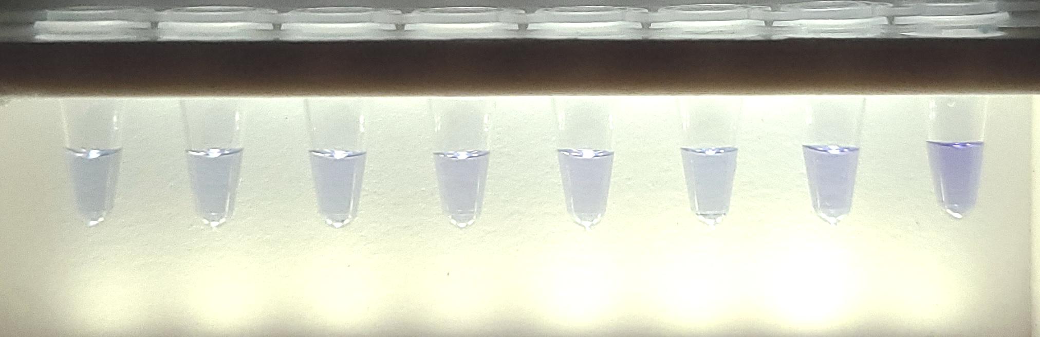 Vials Final Instance Segmentation Dataset by Curran Birdwell