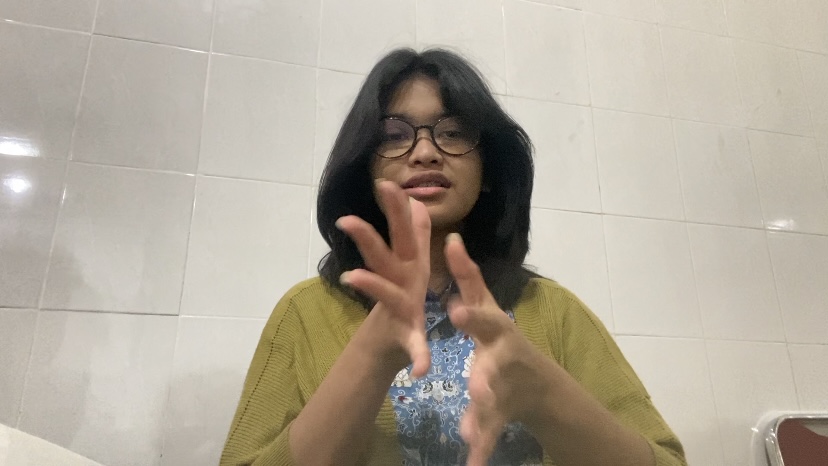 BISINDO DATASET TERBISA 3 Object Detection Dataset by Jonathan Toga Sihotang