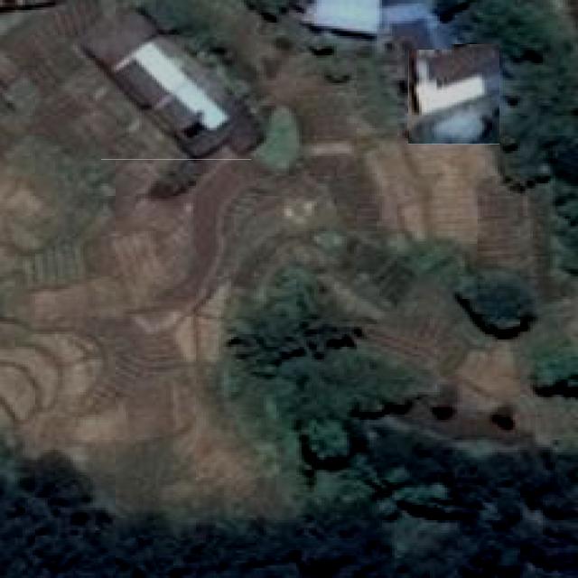 Yolin (yolin-jbvag) - Roboflow Universe