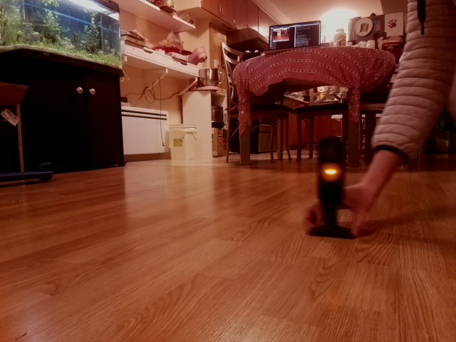 Traffic Lights Object Detection Dataset By Traffic Lights