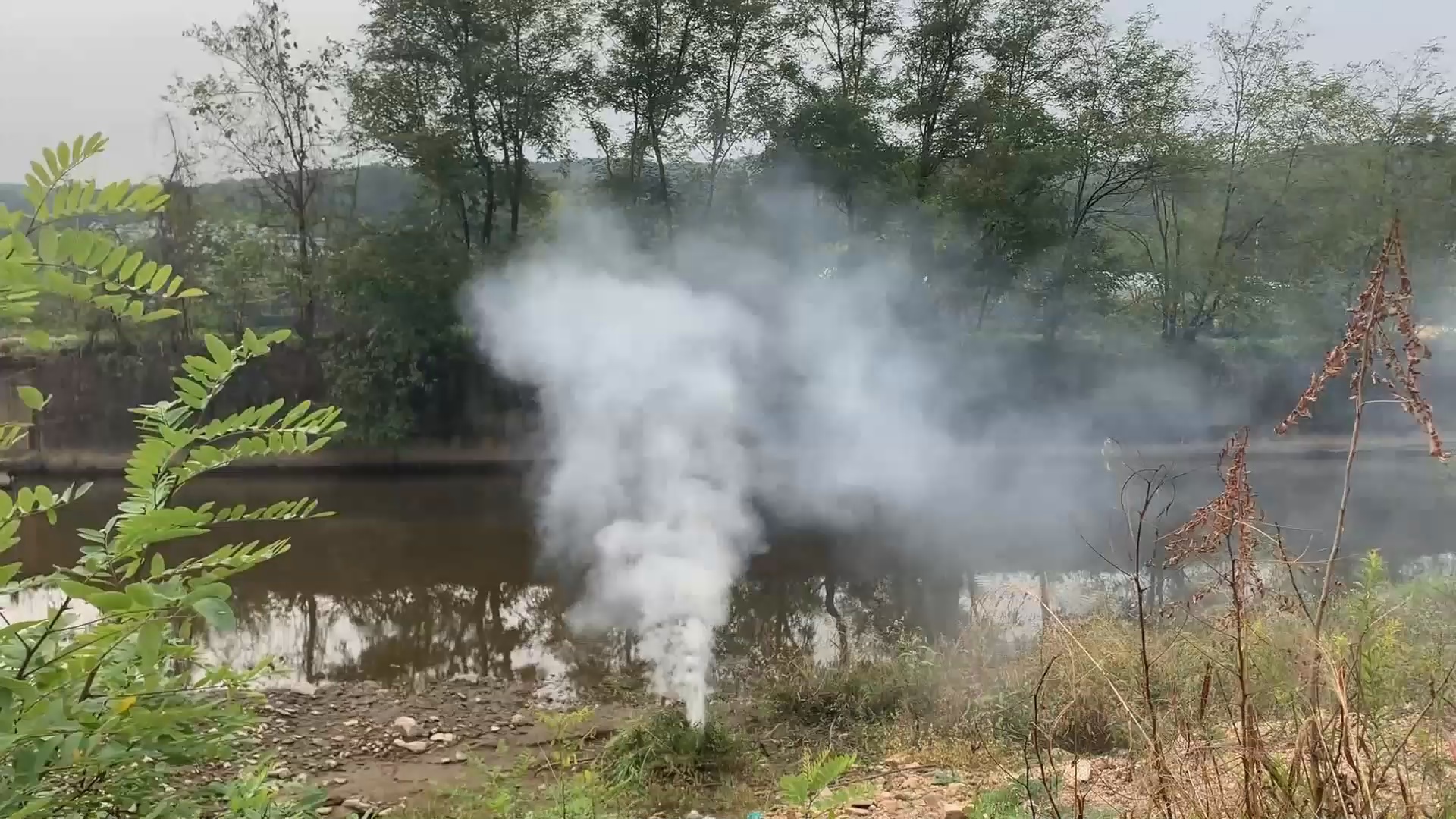 How to Use the Fire Object Detection API