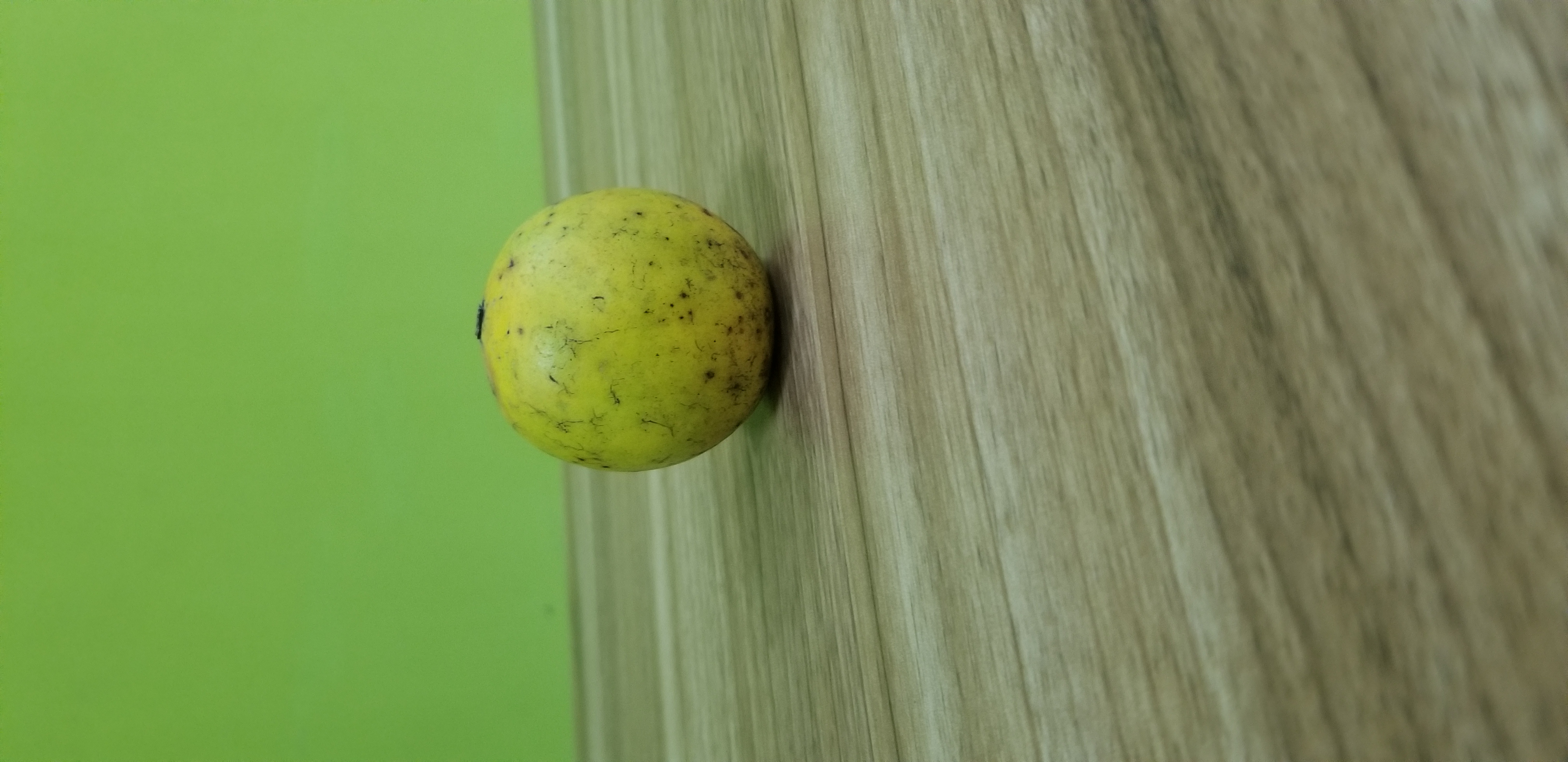 Orange Dataset Object Detection Dataset And Pre Trained Model By Mango