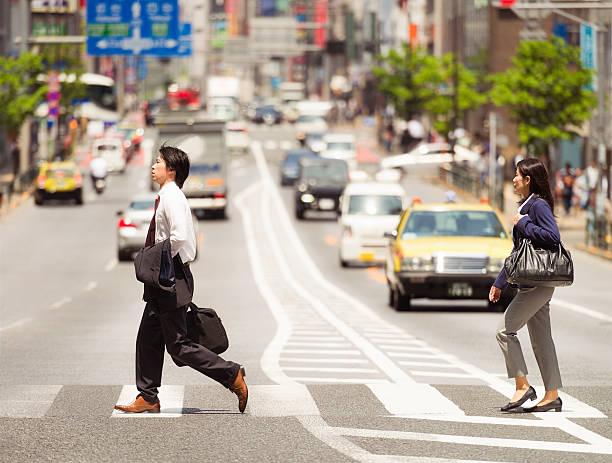 Pedestrian Object Detection Object Detection Dataset and Pre-Trained Model by Senior Design