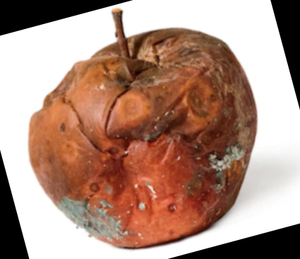 How to Use the Recognition of fruit grading Object Detection API