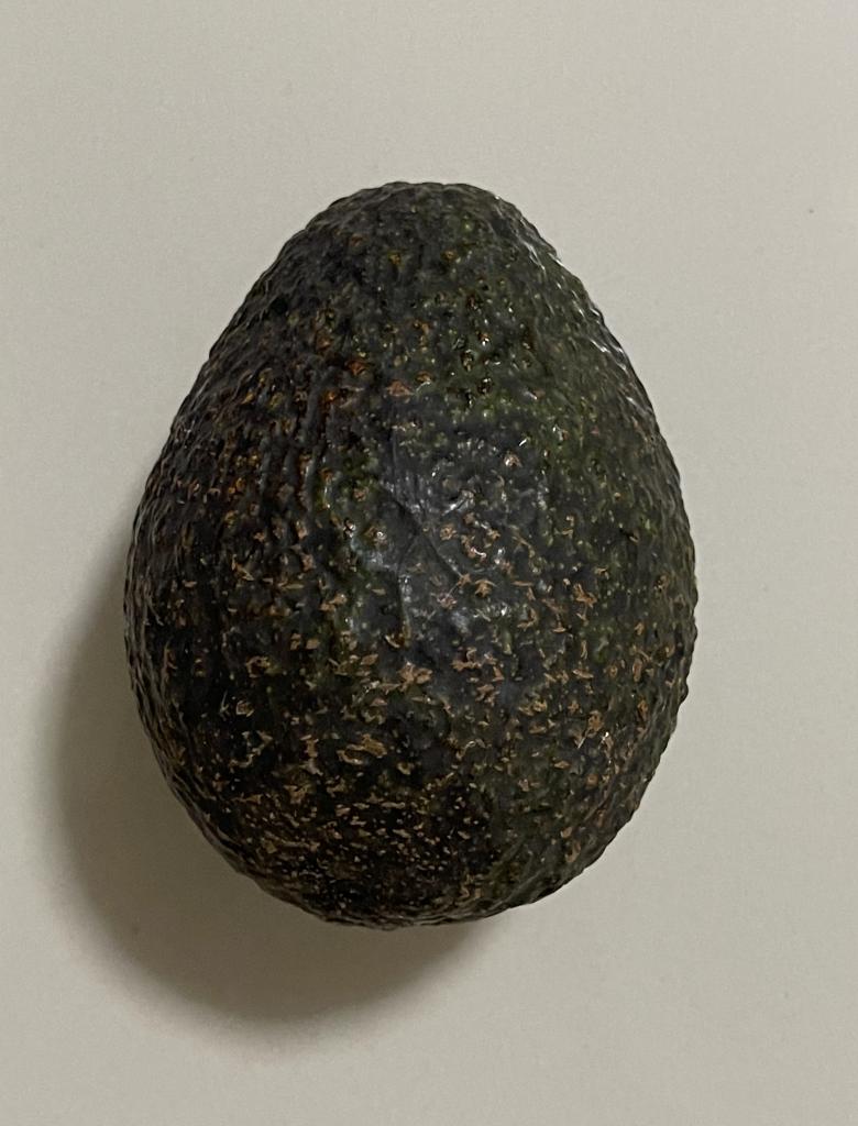 avocado_test_project Classification Dataset and Pre-Trained Model by ...