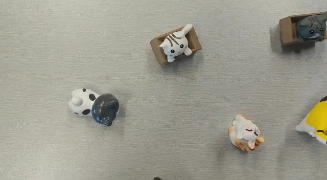 Sample Object Detection Dataset and Pre-Trained Model by STEAM workshop