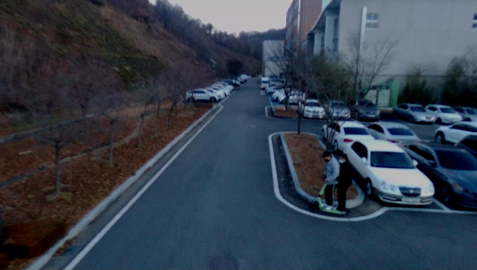 wfwf Object Detection Dataset and Pre-Trained Model by dd