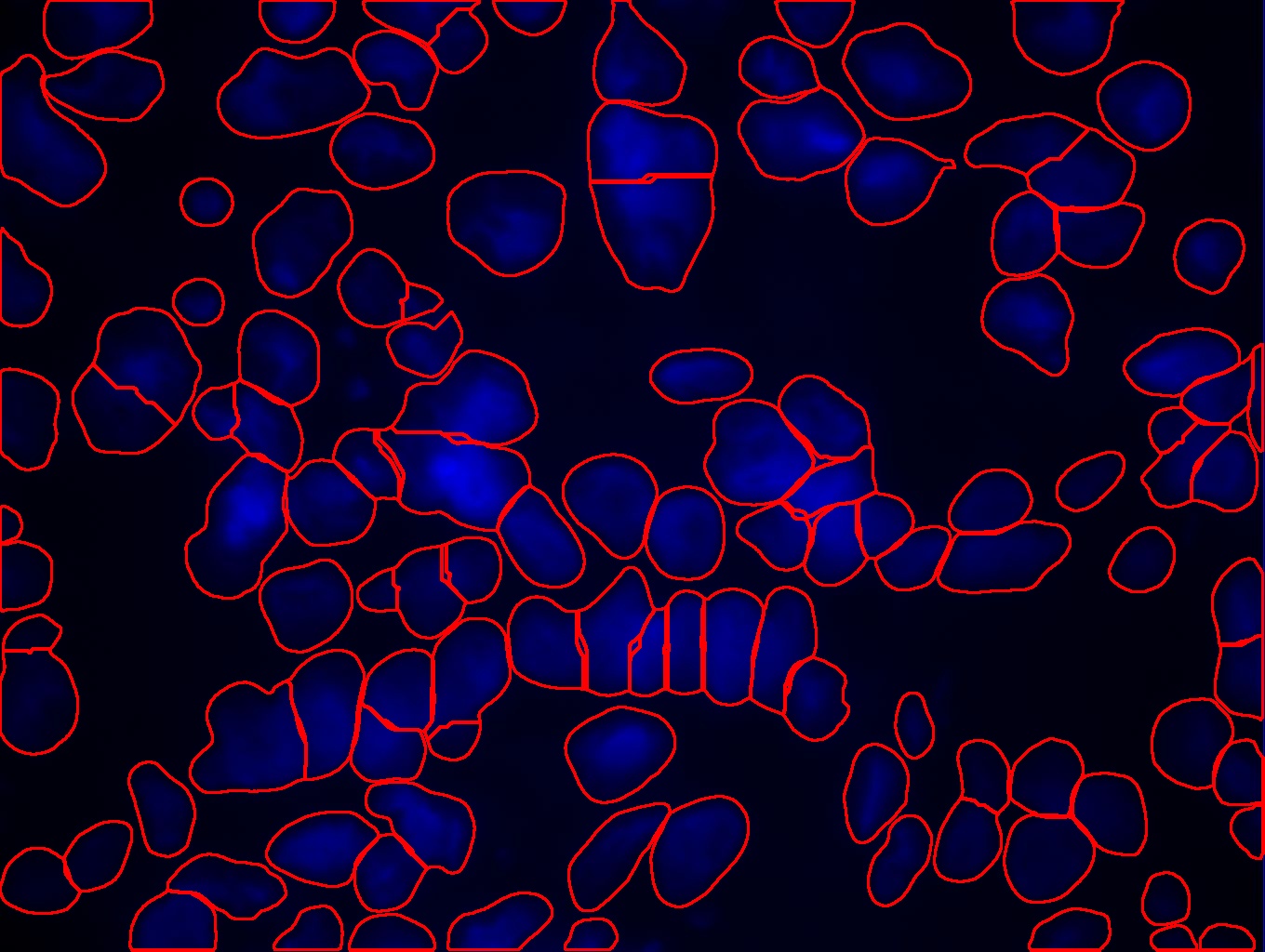 sem_seg Computer Vision Dataset by cellseg