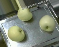 freshness fruits and vegetables Object Detection Dataset and Pre-Trained Model by college