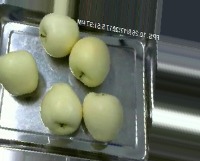 freshness fruits and vegetables Object Detection Dataset and Pre-Trained Model by college