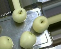 freshness fruits and vegetables Object Detection Dataset and Pre-Trained Model by college