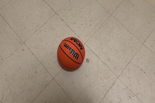 Basketballs Object Detection Dataset And Pre Trained Model By Autoboat