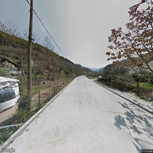 How to Use the Garbage in - data out Object Detection API