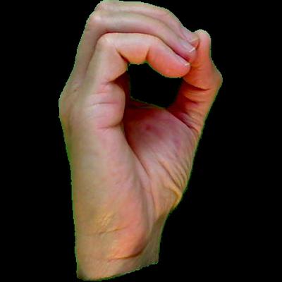 hand sings Object Detection Dataset by 8 mai 45 guelma university