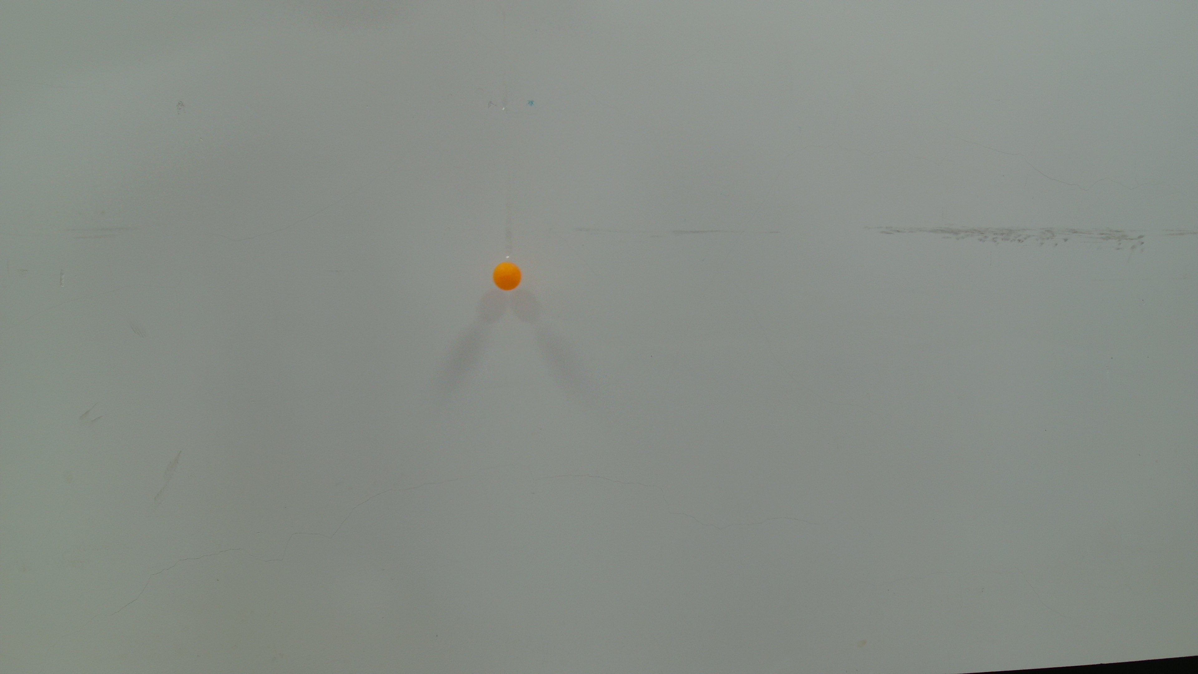 2d movement tracker Object Detection Dataset and Pre-Trained Model by Steam RE