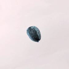 seed segregation Object Detection Dataset by vit bhopal