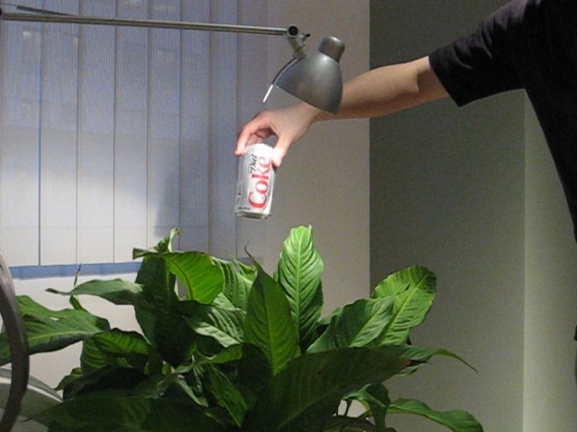 coke Instance Segmentation Dataset by Myself