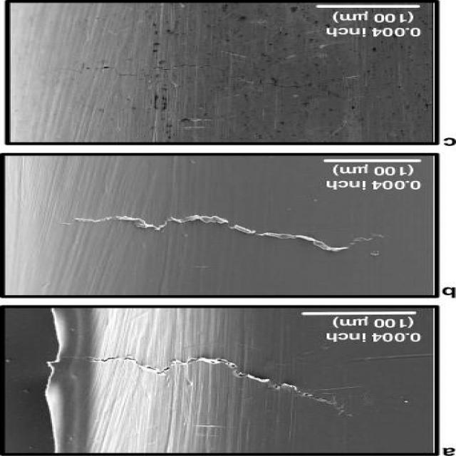 1127_crack_pipe_wall Instance Segmentation Dataset and Pre-Trained Model by Tra Nguyen