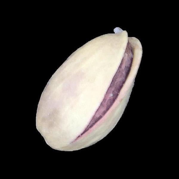 Pistachio Classification Dataset by Polytechnic university of the ...