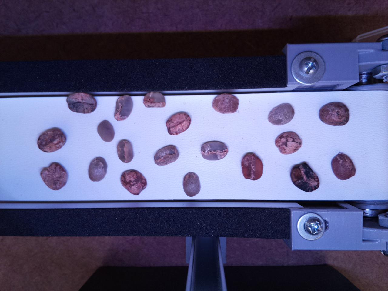 grains Object Detection Dataset by Coffee Gain Quality Inspection