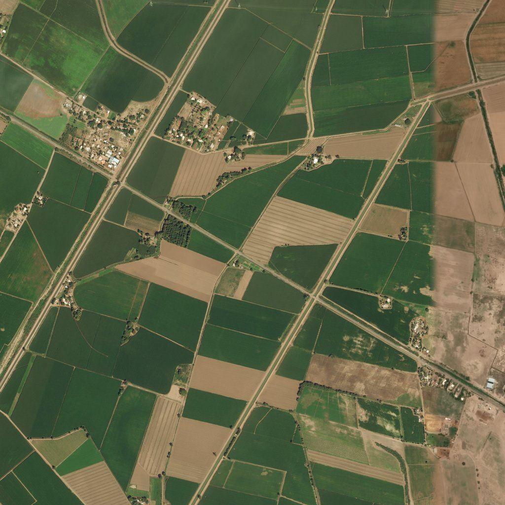 crop-boundaries Instance Segmentation Dataset by jonsworkspace