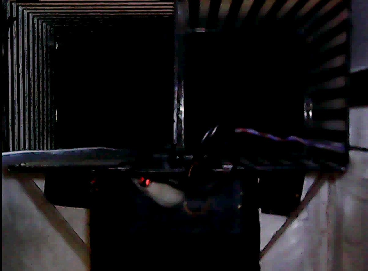 MOUSE Object Detection Dataset by Amin Rahimzadeh